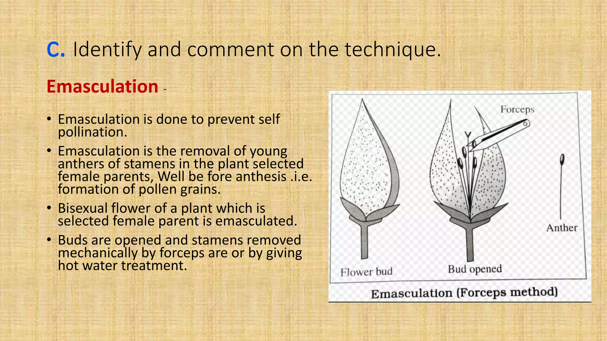 12th Biology Practical Spotting Q.4.pptx