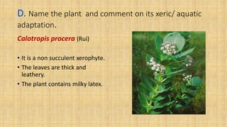 12th Biology Practical Spotting Q.4.pptx