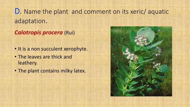 12th Biology Practical Spotting Q.4.pptx | Gardening | Home & Garden