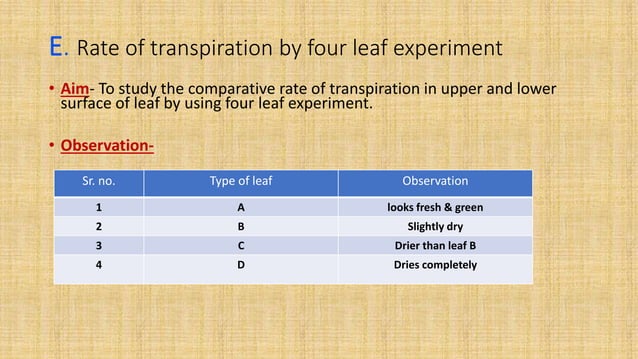 12th Biology Practical Spotting Q.4.pptx | Gardening | Home & Garden