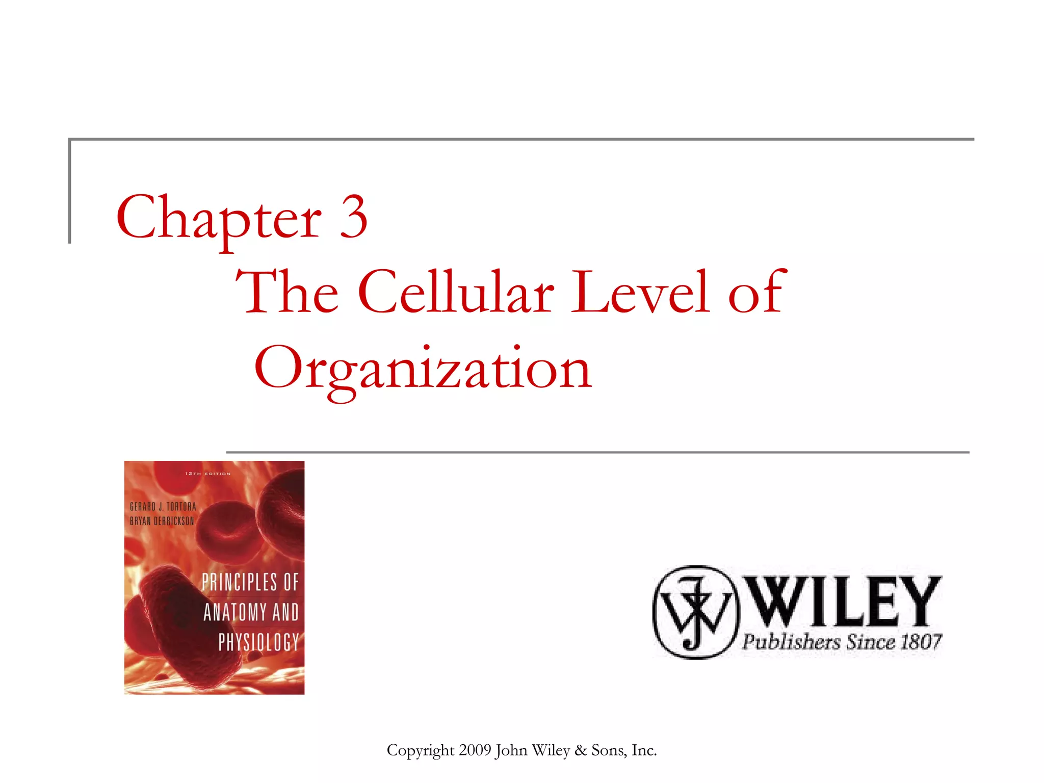 The Cellular Level of Organization | PPT