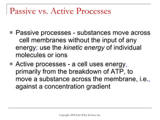 The Cellular Level of Organization | PPT