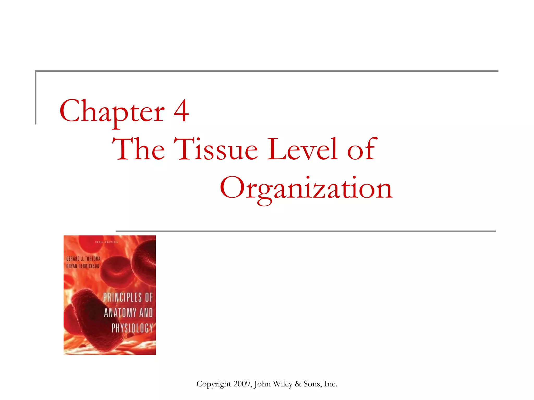 The Tissue Level of Organization | PPT