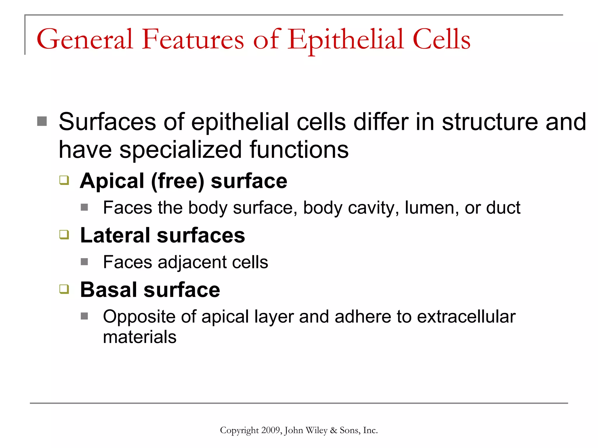 The Tissue Level of Organization | PPT