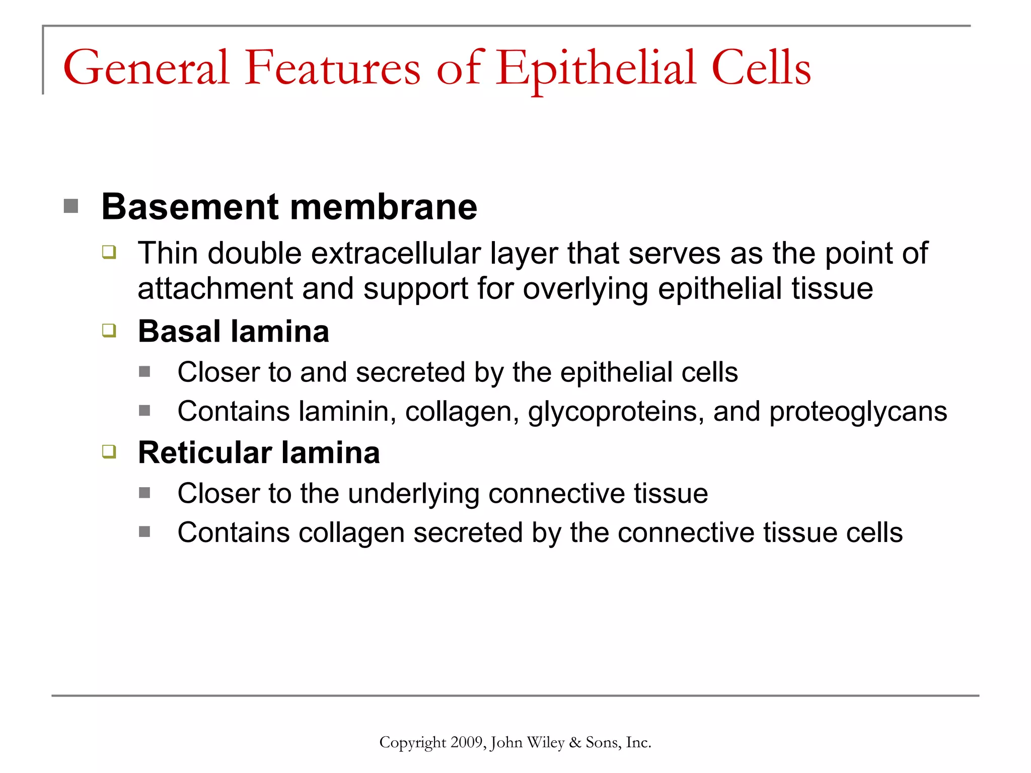 The Tissue Level of Organization | PPT