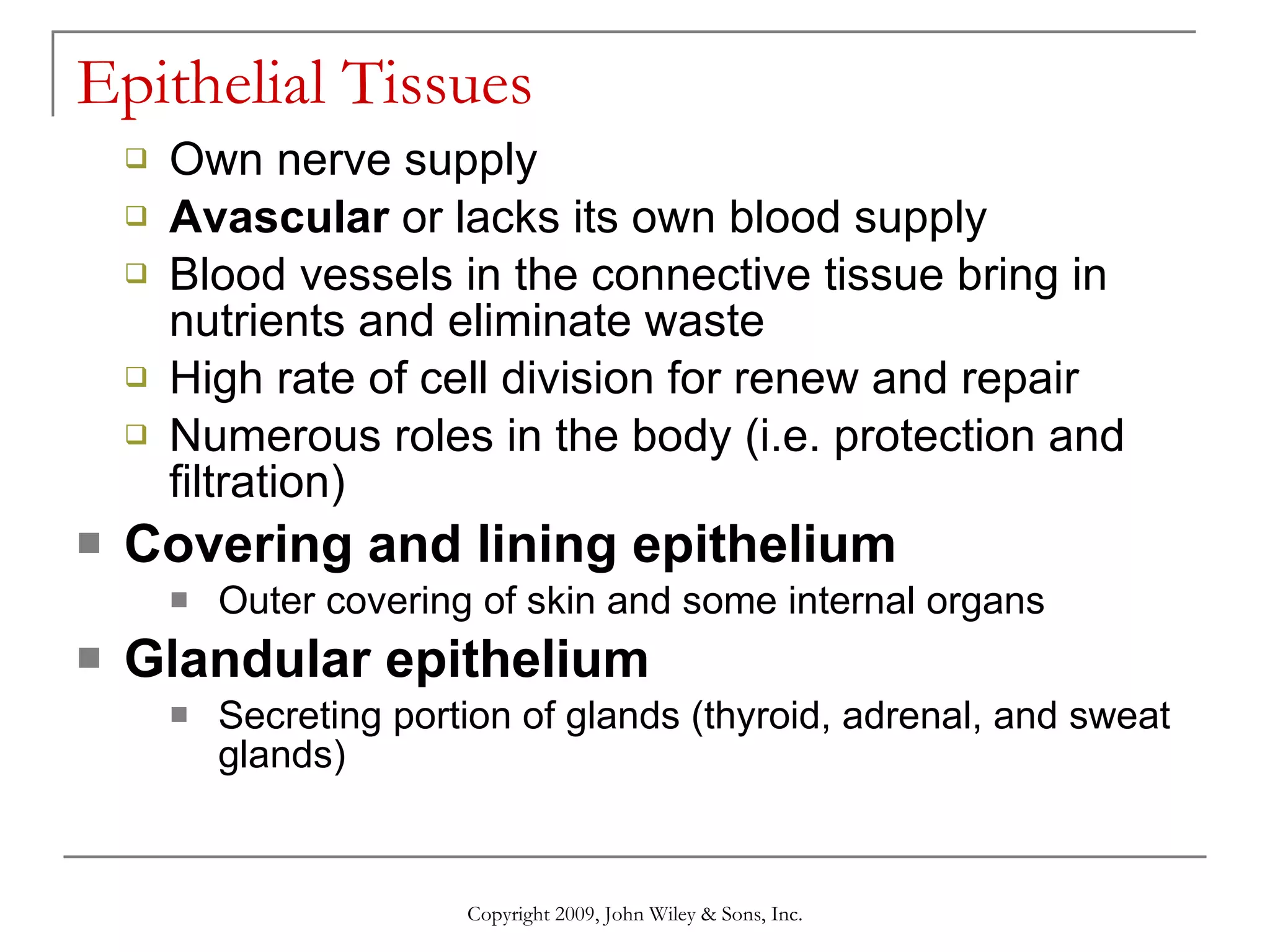 The Tissue Level of Organization | PPT