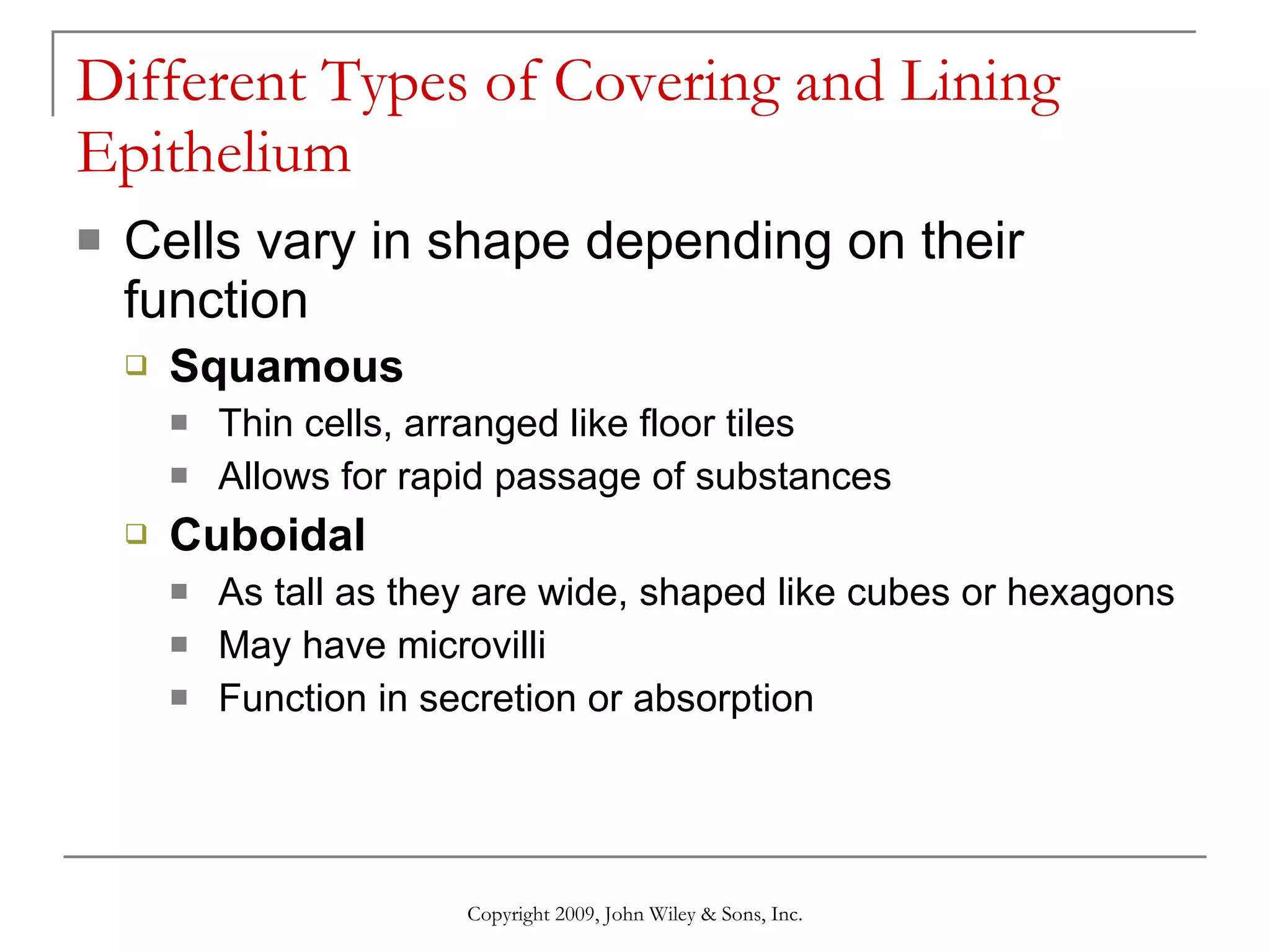 The Tissue Level of Organization | PPT