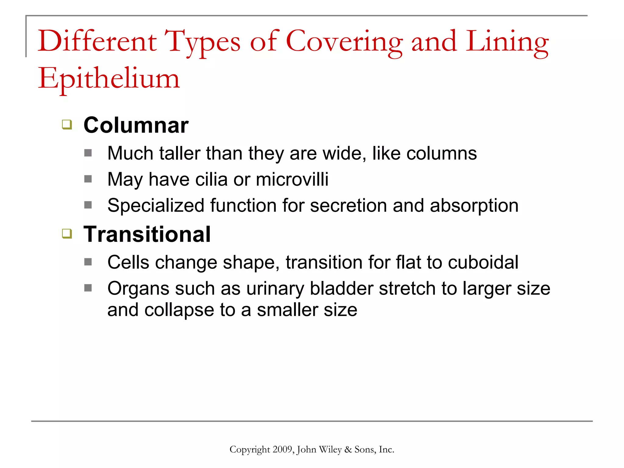 The Tissue Level of Organization | PPT