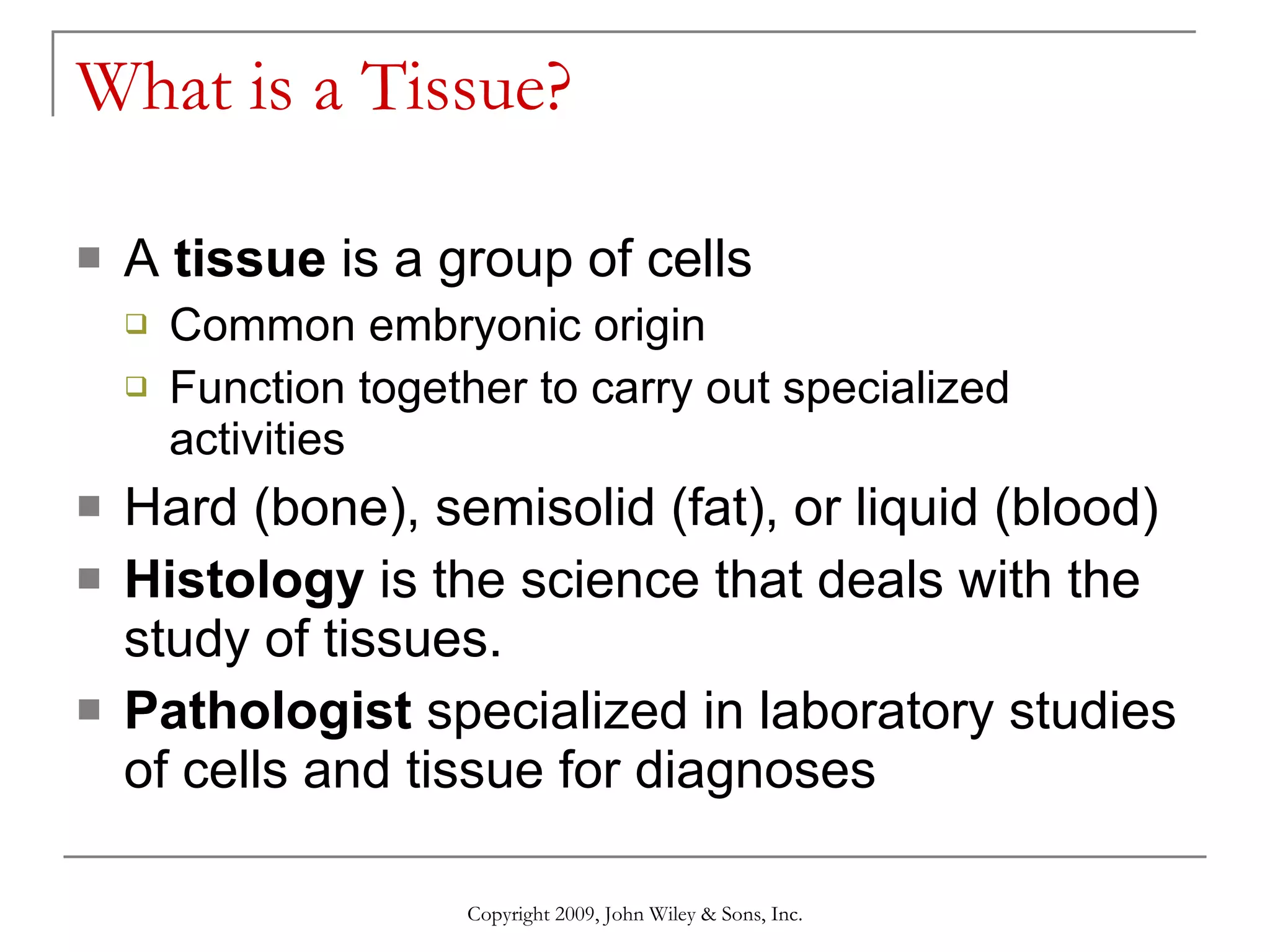 The Tissue Level of Organization | PPT