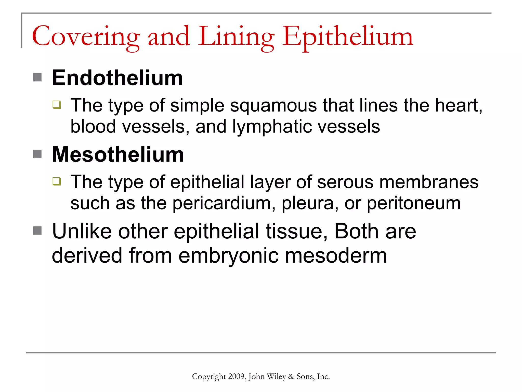 The Tissue Level of Organization | PPT