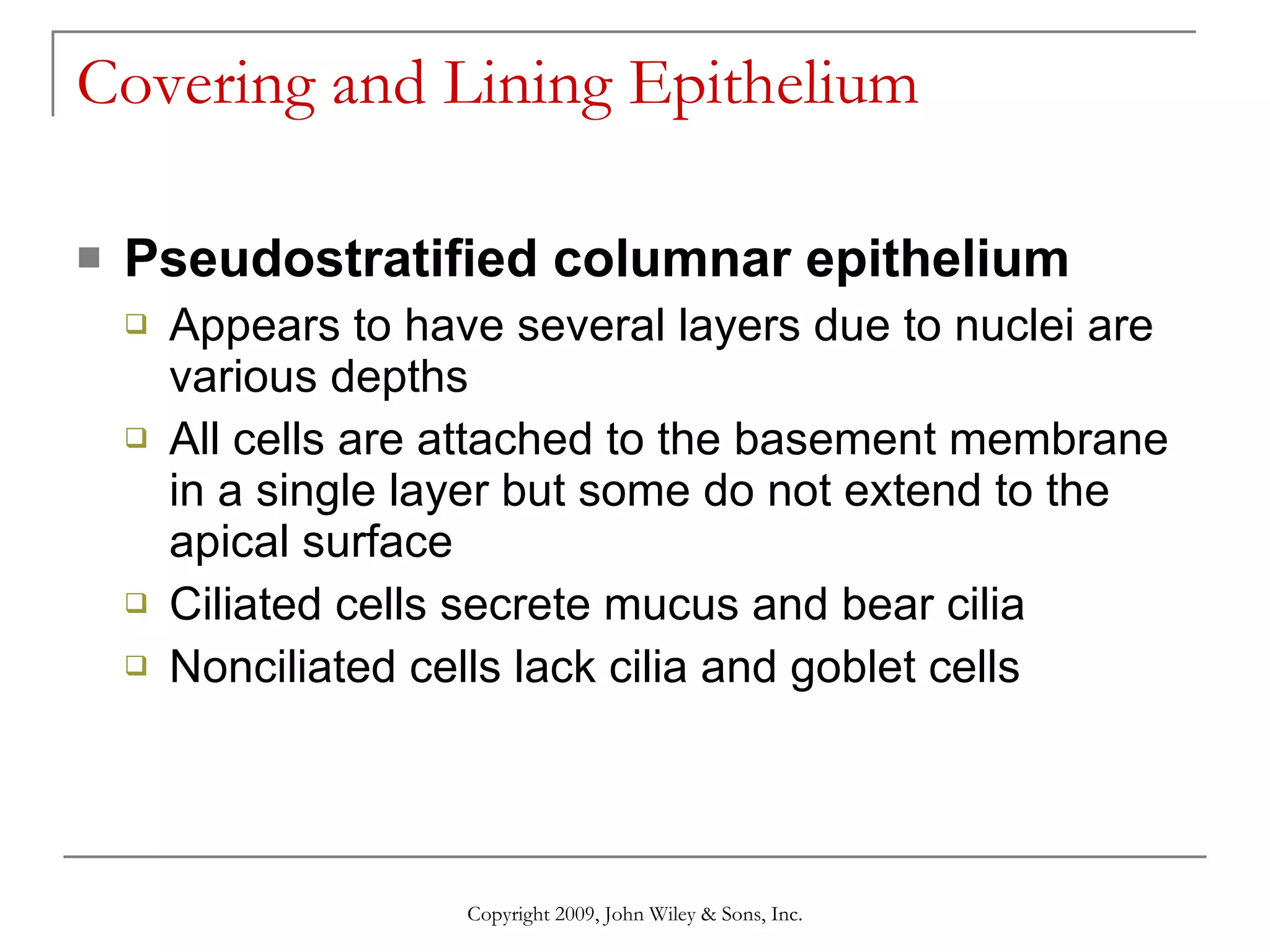 The Tissue Level of Organization | PPT