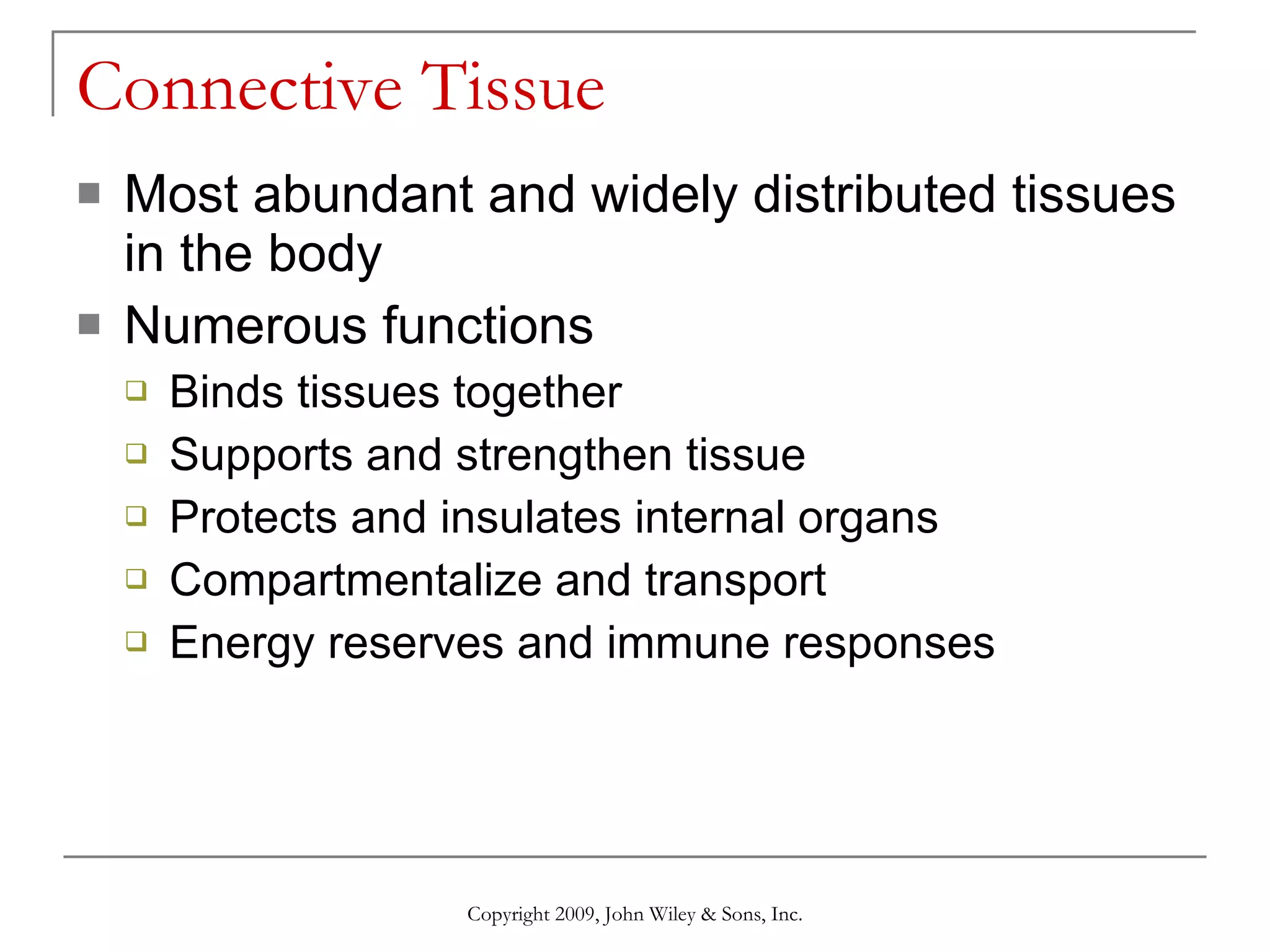 The Tissue Level of Organization | PPT