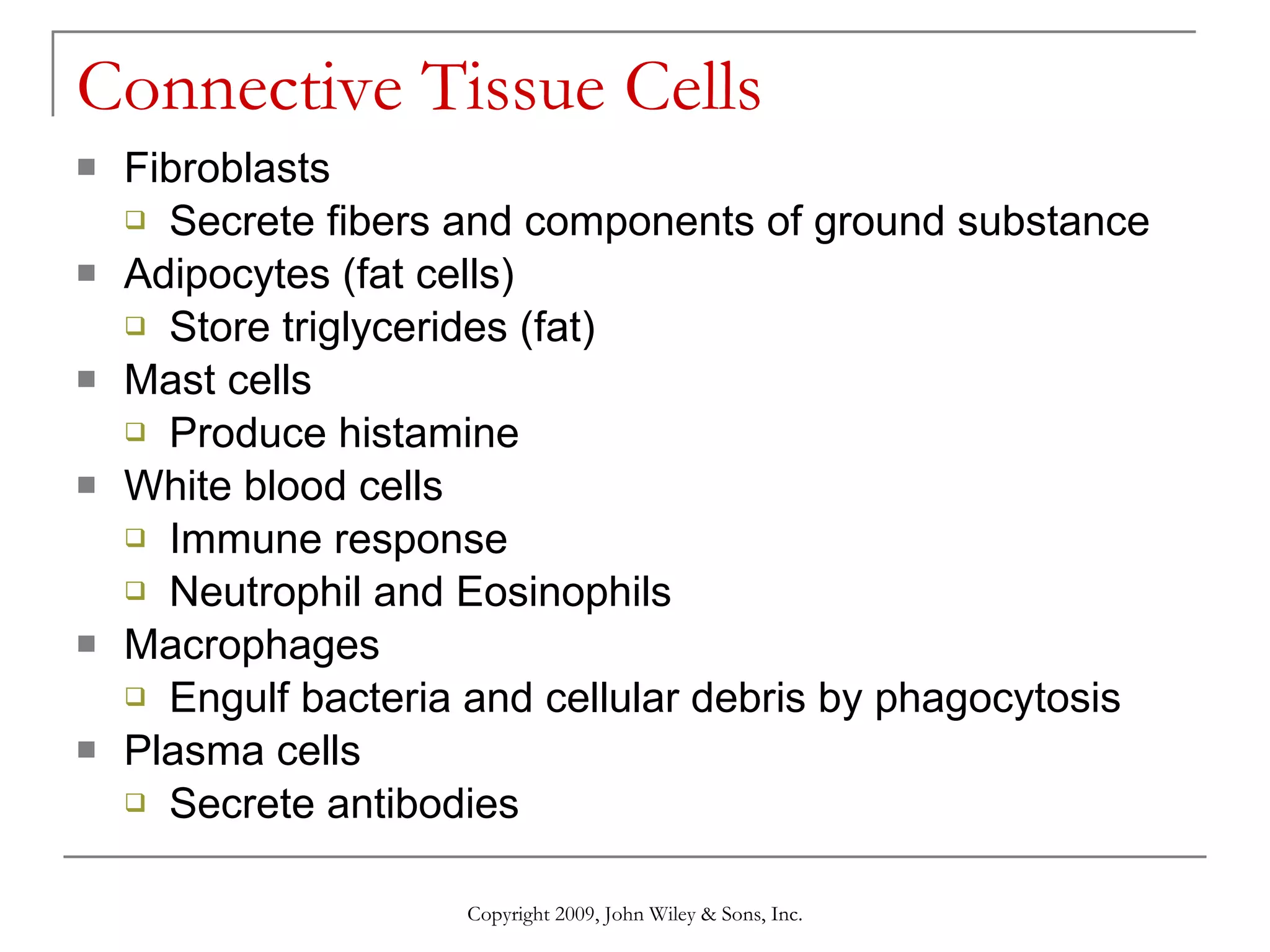 The Tissue Level of Organization | PPT
