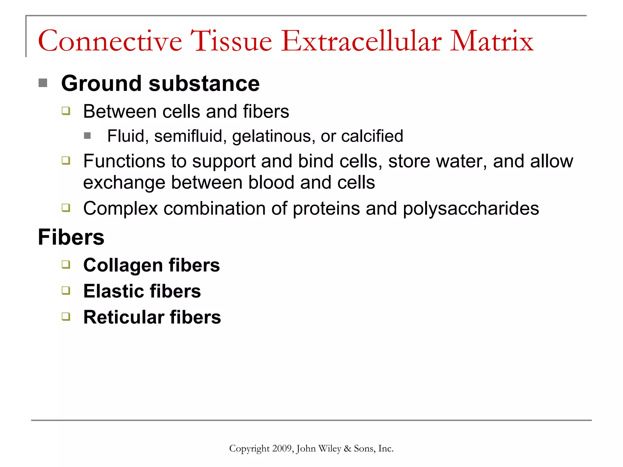 The Tissue Level of Organization | PPT