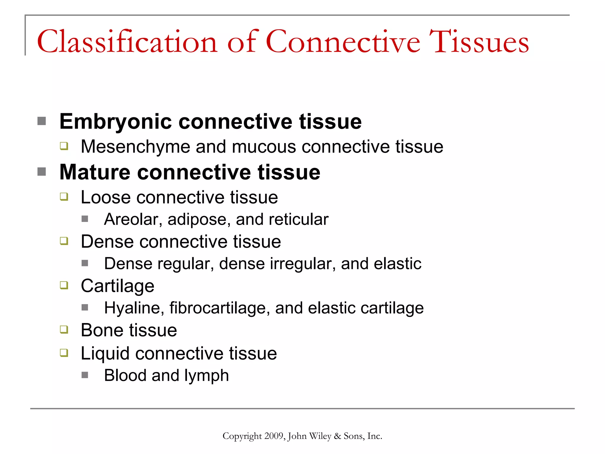 The Tissue Level of Organization | PPT