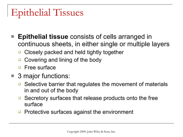 The Tissue Level of Organization | PPT