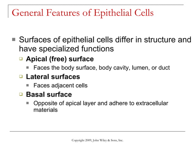 The Tissue Level of Organization | PPT