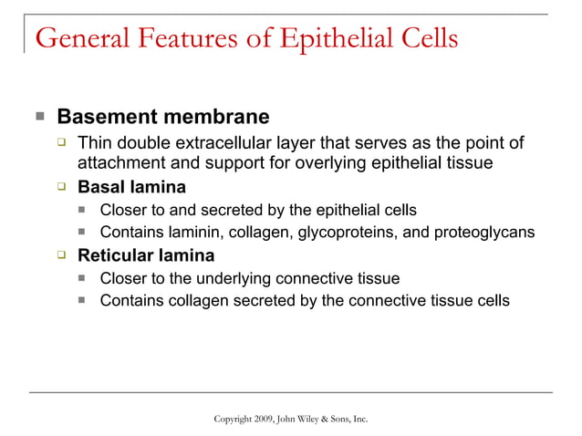 The Tissue Level of Organization | PPT