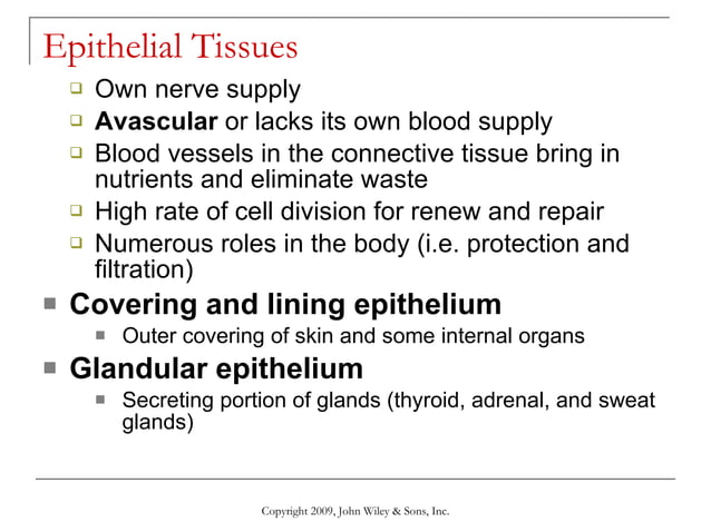 The Tissue Level of Organization | PPT