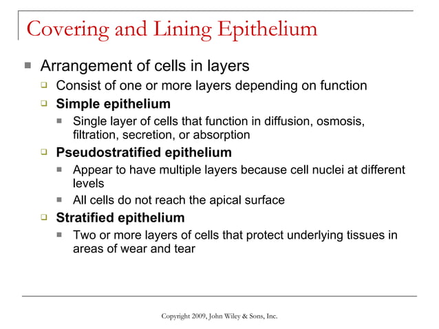 The Tissue Level of Organization | PPT