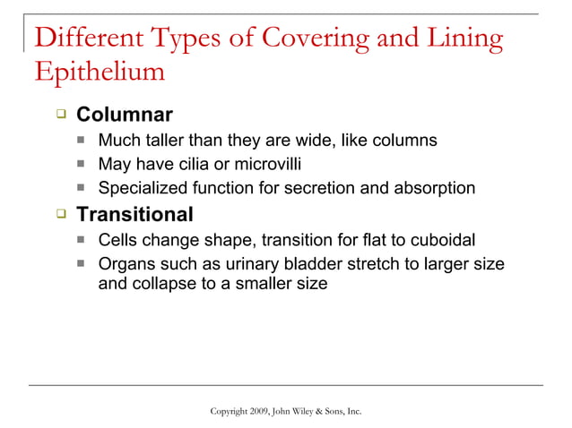 The Tissue Level of Organization | PPT