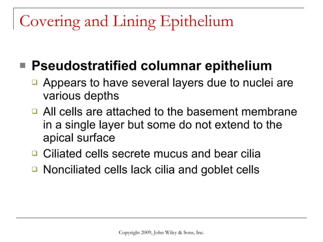 The Tissue Level of Organization | PPT
