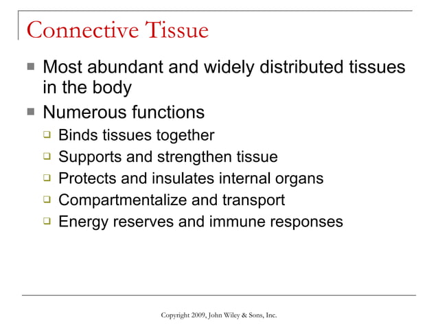 The Tissue Level of Organization | PPT