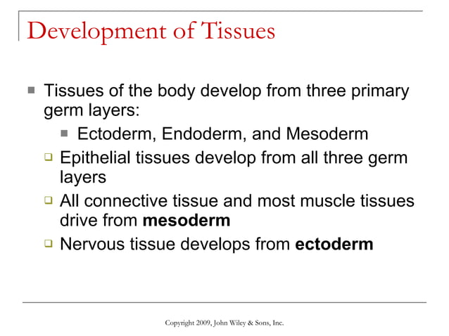 The Tissue Level of Organization | PPT
