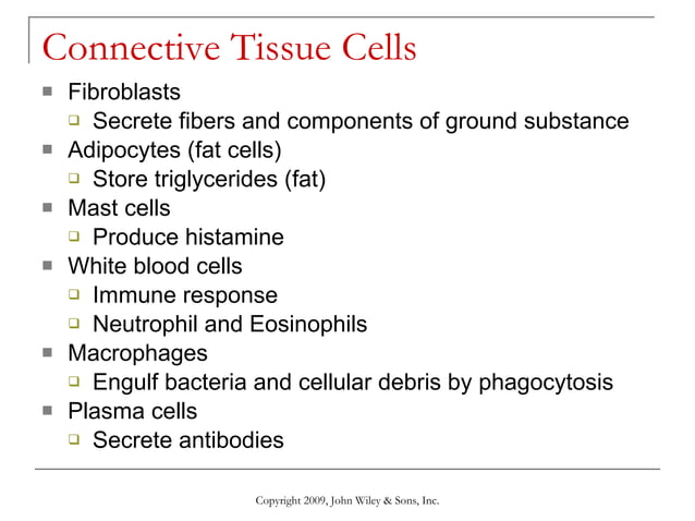 The Tissue Level of Organization | PPT