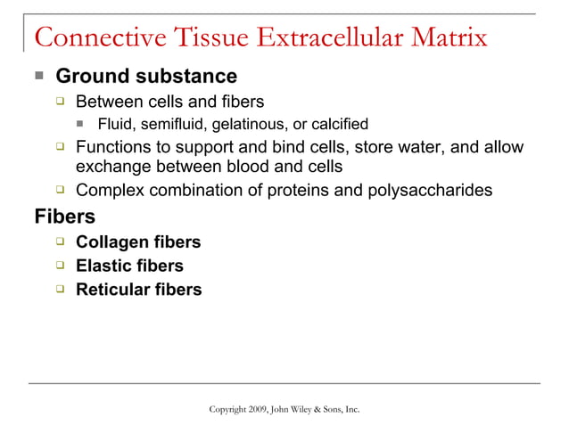The Tissue Level of Organization | PPT