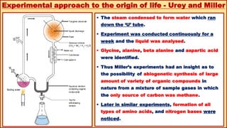 12th biology chapter 6 evolution..... hu | PDF