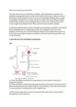 12th origin and evolution of life.pdf