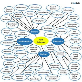 Career Options After 12th Science In India | PDF