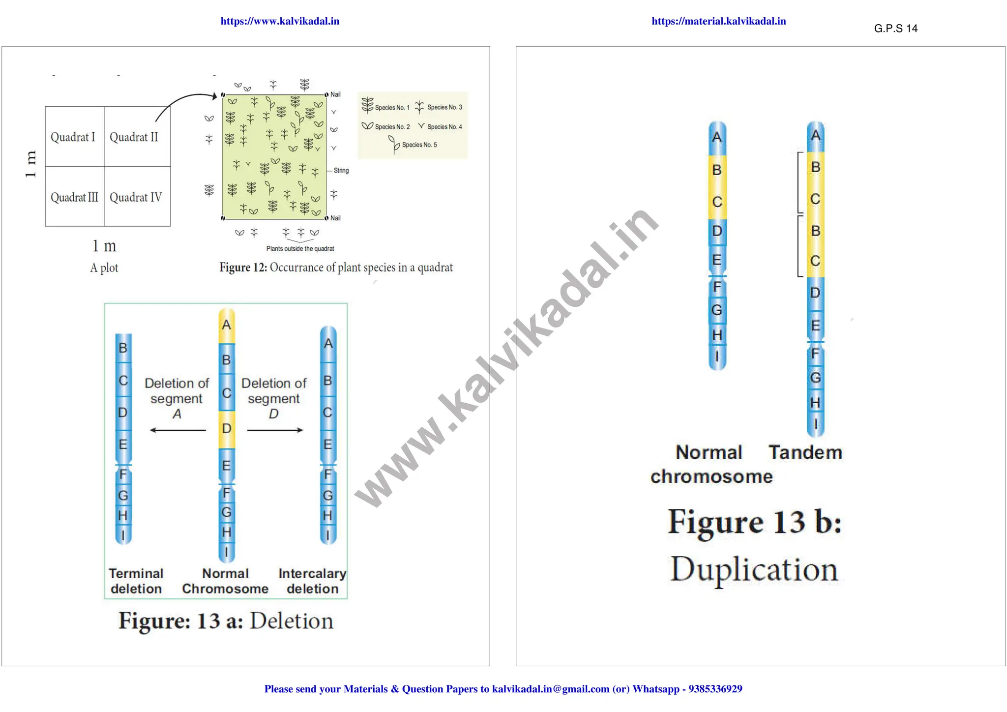 12th std Bio-Botany EM Practical notes.pdf