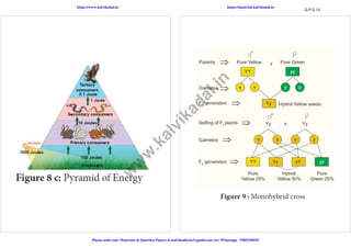 12th std Bio-Botany EM Practical notes.pdf