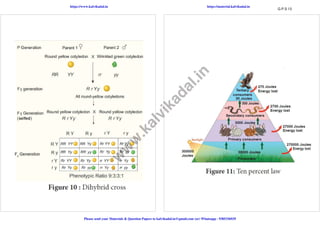 12th std Bio-Botany EM Practical notes.pdf