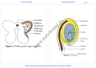 12th std Bio-Botany EM Practical notes.pdf