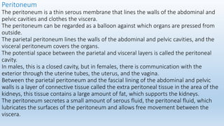 12th trachea ,pleura and lungs mammary ,mediastinum,peritonium,stomach.pptx