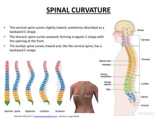 12th UNIT 2 CHILDREN AND WOMEN.pptx