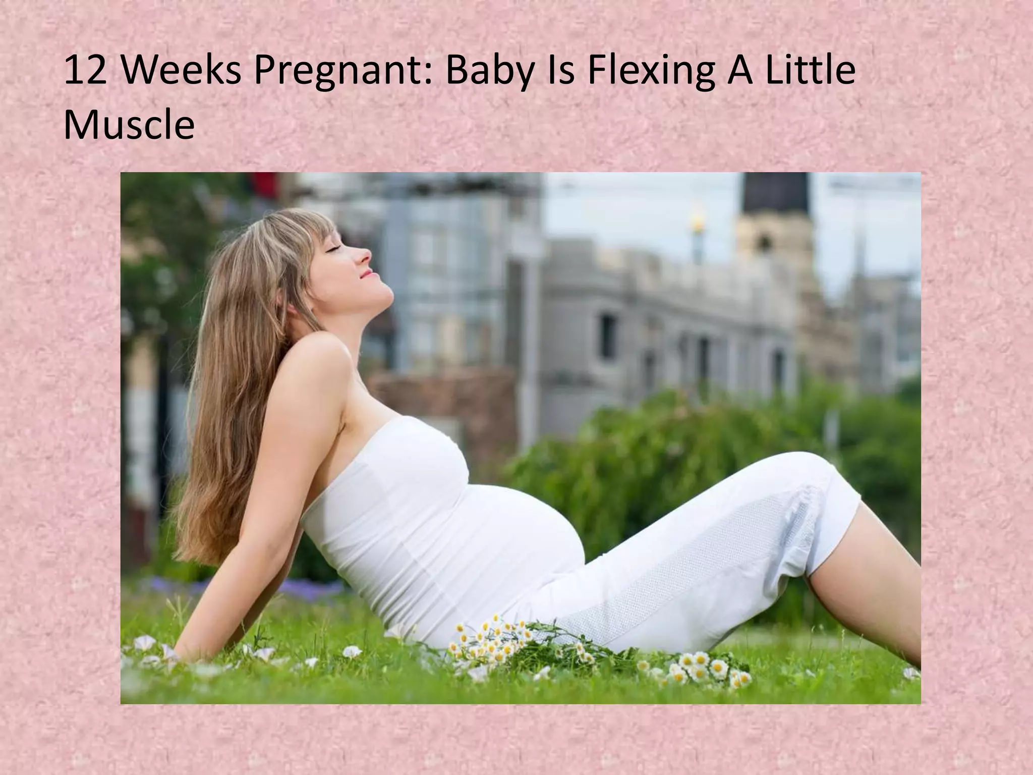 12 Weeks Pregnant: What to Expect | Pregnancy Week By Week | PPT