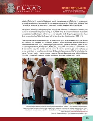 12 tintes naturales_maya_mesoamerica_etnobotanica_codice_artesania ...