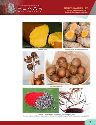 12 tintes naturales_maya_mesoamerica_etnobotanica_codice_artesania ...