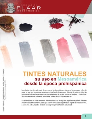12 tintes naturales_maya_mesoamerica_etnobotanica_codice_artesania ...