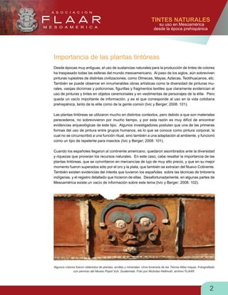 12 tintes naturales_maya_mesoamerica_etnobotanica_codice_artesania ...