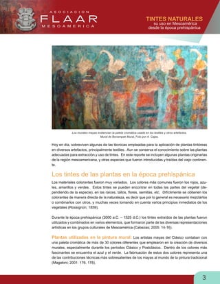 12 tintes naturales_maya_mesoamerica_etnobotanica_codice_artesania ...
