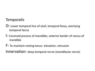 Temporomandibular Joint | PPT
