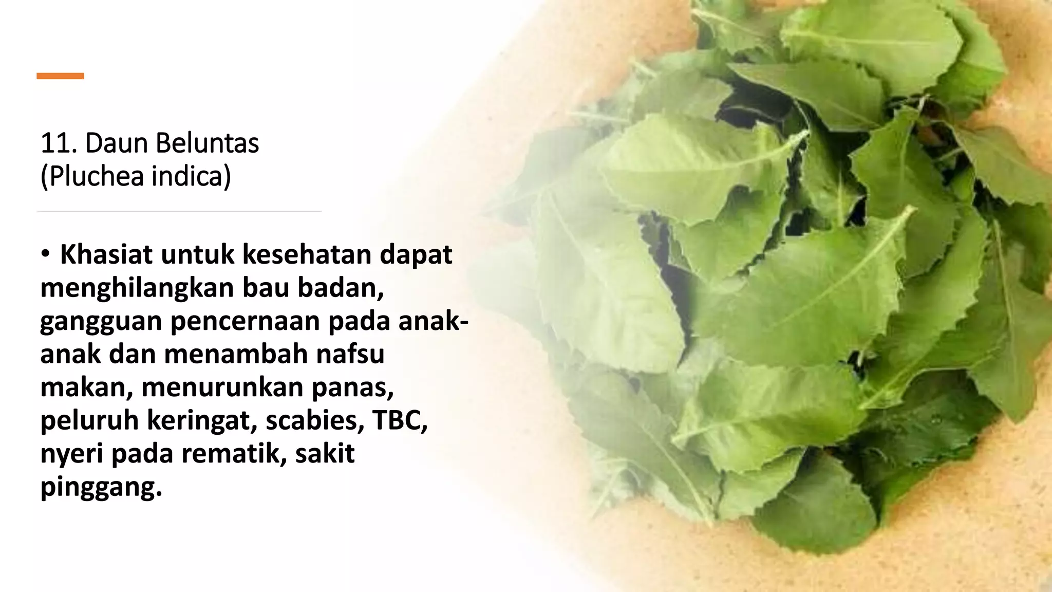 12 TOGA SERTA MANFAAT.pptx