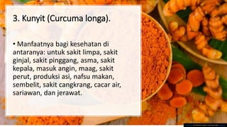 12 TOGA SERTA MANFAAT.pptx