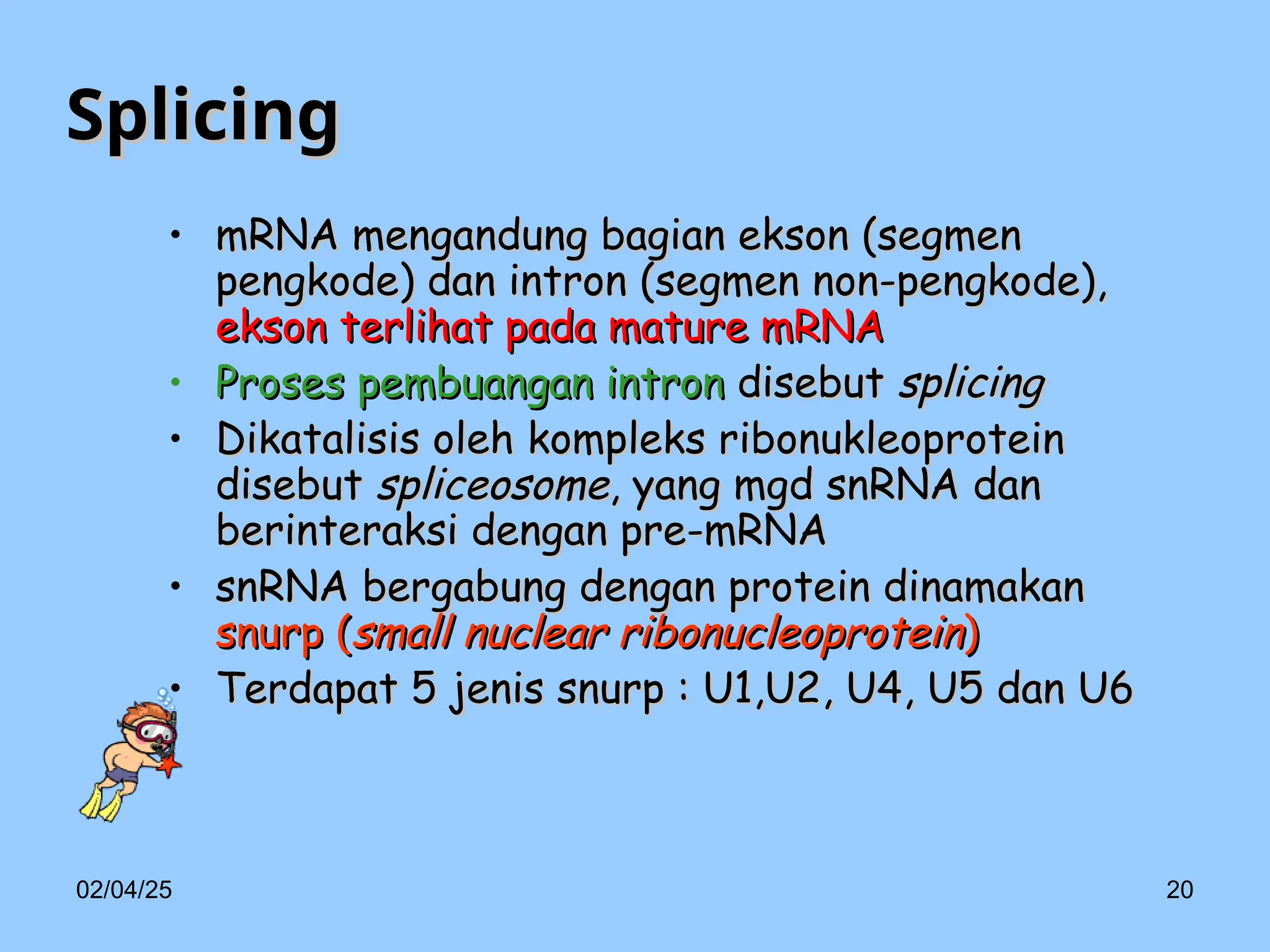 proses Transkripsi_dan_Translasi_DNA.ppt