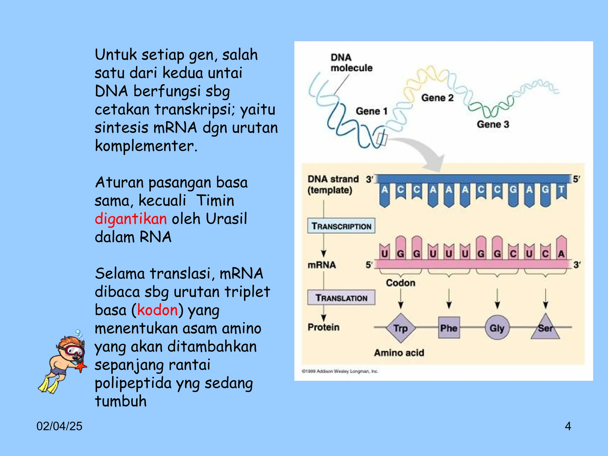 proses Transkripsi_dan_Translasi_DNA.ppt